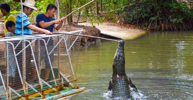 From Ho Chi Minh: Can Gio Mangrove Forest & Monkey Island - The Natural Highlights: Flora and Fauna