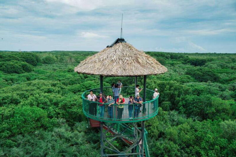 From Ho Chi Minh City: Can Gio Mangrove Forest Day Tour - Who Is This Tour Best For?