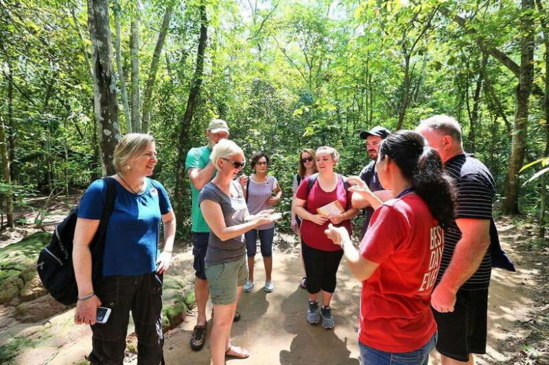 From Ho Chi Minh City: Cu Chi Tunnels Adventure - The Itinerary in Detail