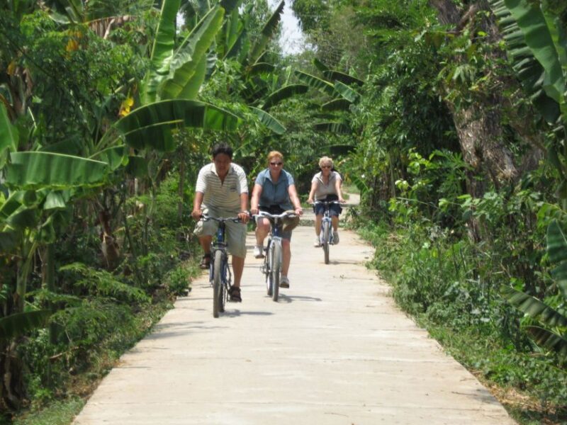 From Ho Chi Minh: Mekong Delta, My Tho & Ben Tre Day Trip - Final Thoughts