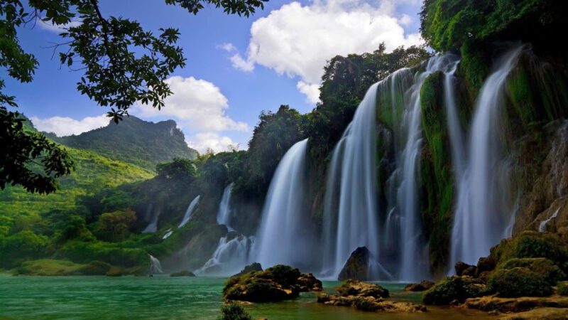 From Hue/Da Nang/Hoi An: Bach Ma National Park Trekking Tour - Who Is This Tour Best For?