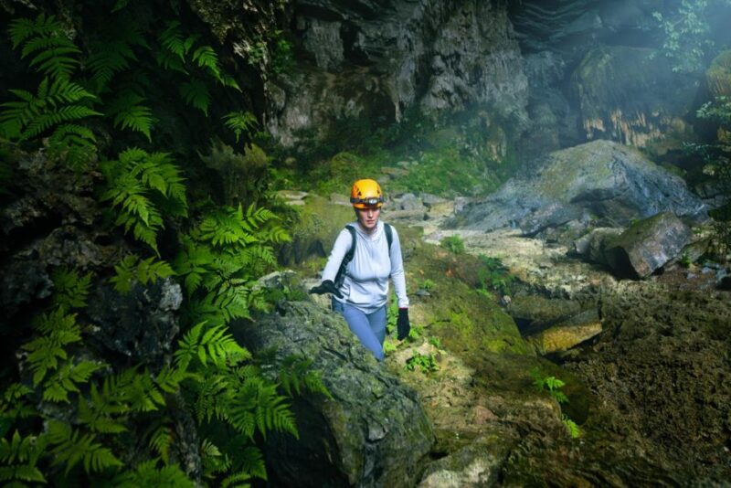 From Hue: One day Phong Nha Cave, boat trip, lunch included - What Makes This Tour Stand Out
