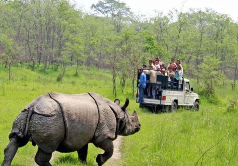 From Kathmandu: 3-Day Chitwan National Park Tour - Cultural Encounters with the Tharu People
