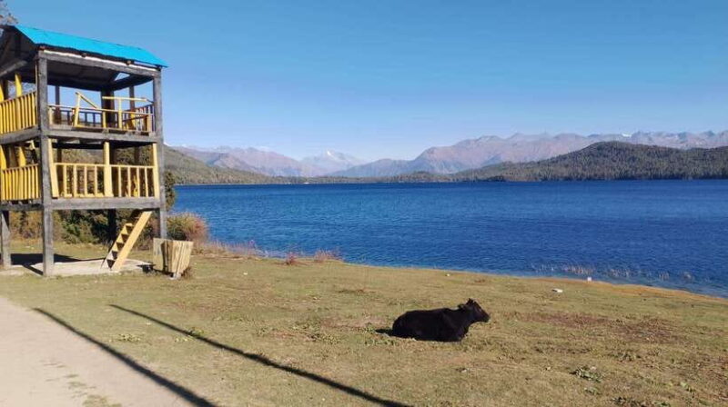From Kathmandu: 7-Day Jeep Tour to Rara Lake. - Final Thoughts