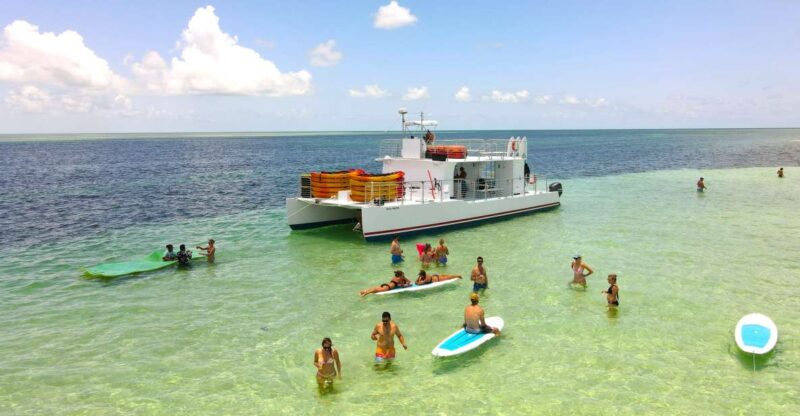 From Key West: Dolphin Watching Tour with Lunch & Drinks - Practical Details and Considerations