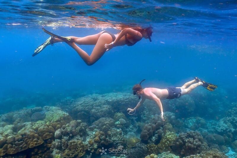 From Krabi: Surin Islands Snorkeling Tour w/ Meals - Snorkeling Stops: The Marine Highlights