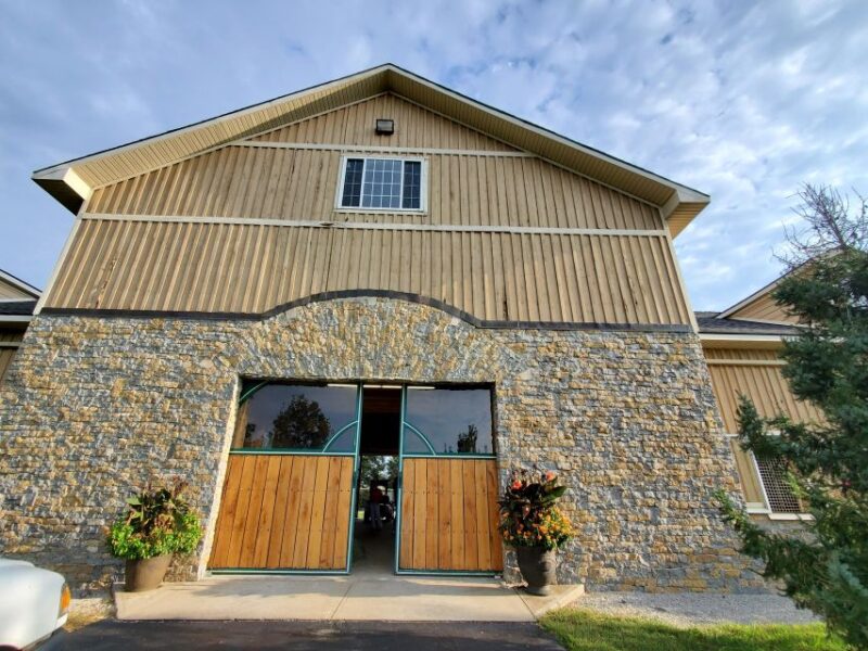 From Lexington: Kentucky Horse Farms Tour - What Makes the Stops Special