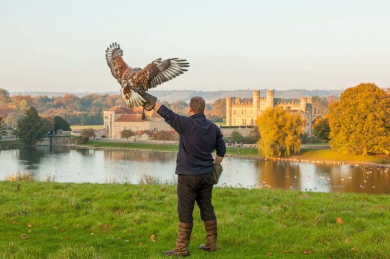 From London: Leeds Castle, Canterbury, Dover and Greenwich - A Closer Look at Reviews: What Travelers Say