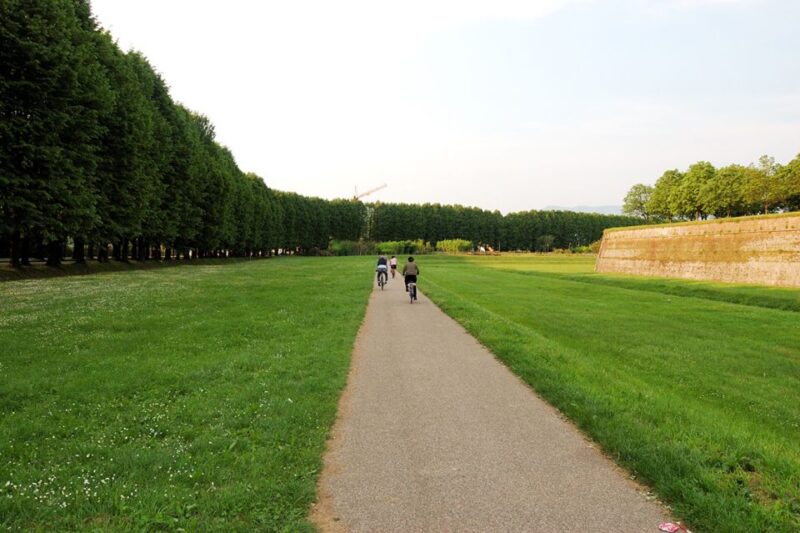 From Lucca to Pisa: Self-Guided Bike Tour - Final Thoughts