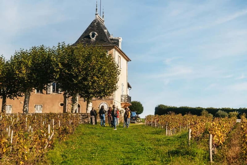 From Lyon: Beaujolais Wine Tour with Tastings - Final Thoughts