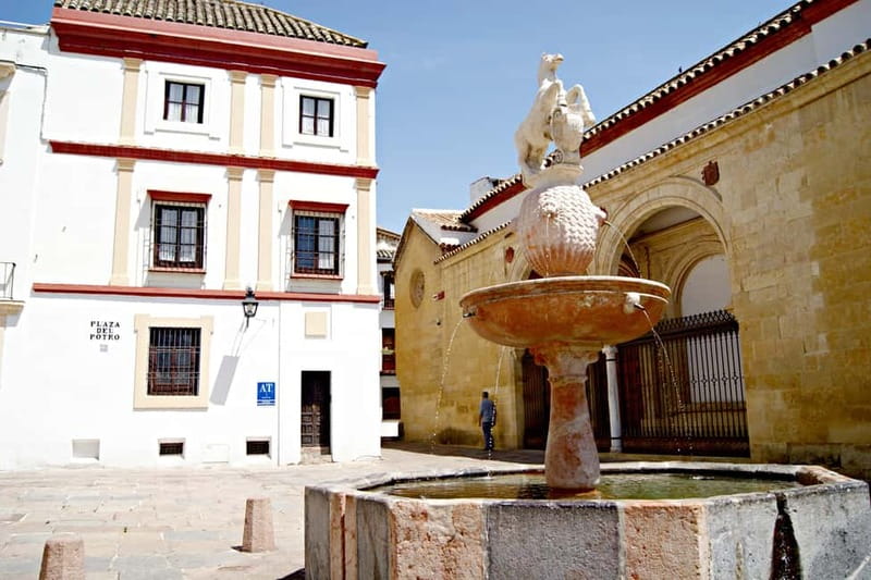 From Málaga: Córdoba Mosque Guided Tour - The Logistics and Value
