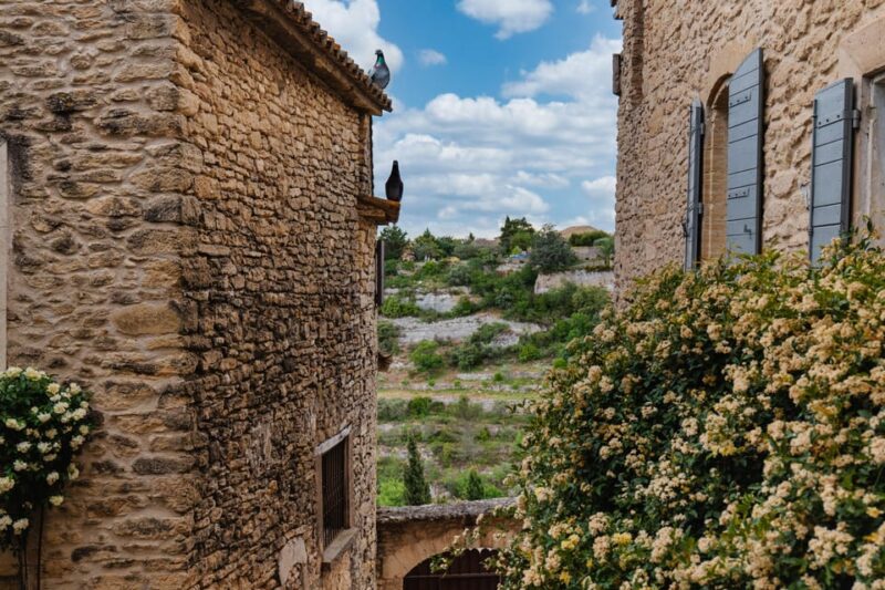 From Marseille: Luberon Market & Villages Full-Day Tour - Authenticity and Value: What Travelers Say