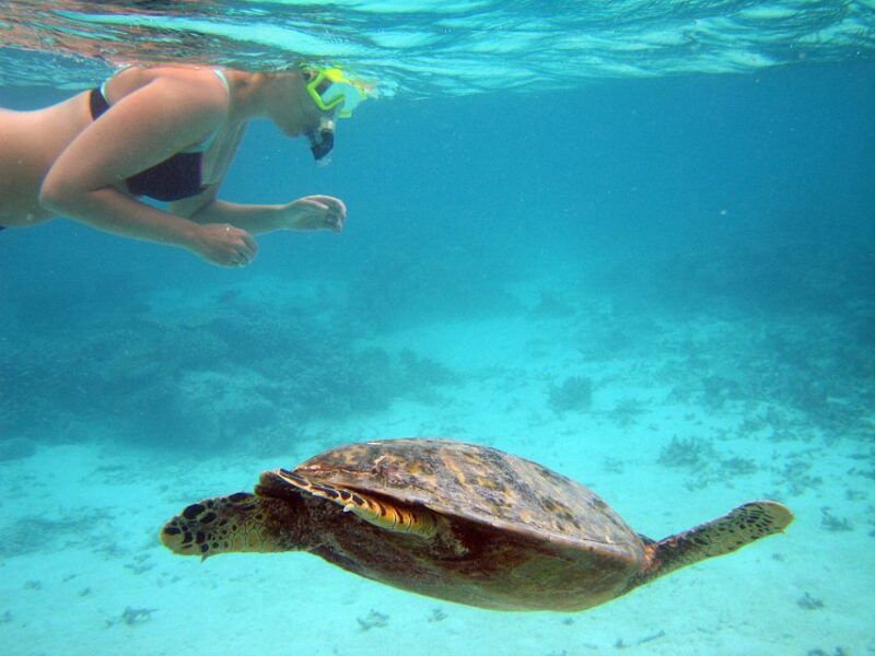 From Miami: Key West Day Trip - What Travelers Are Saying