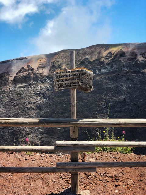 From Naples: Private tour Vesuvius, Herculaneum and Pompeii - Who Is This Tour Best For?
