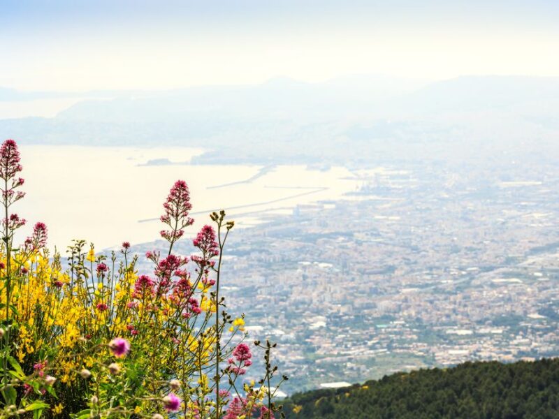 From Naples: Vesuvius & Pompeii with Transfer & Audio Guide - Practical Tips for Your Day