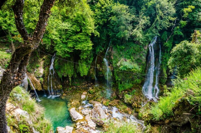From Nice: Flower Fields & Saint Cassien Lake Full-Day Trip - Summary and Final Thoughts