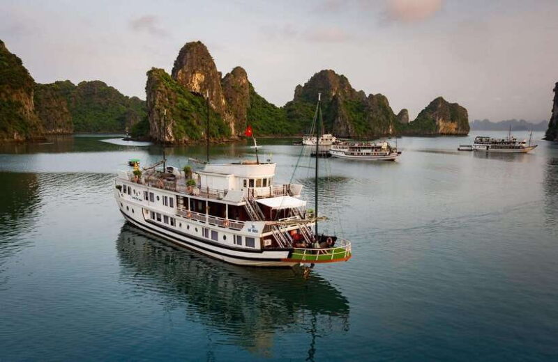 From Ninh Binh : Bai Tu Long Bay 2-3 Days Garden Bay Cruise - Authenticity and Experience Quality