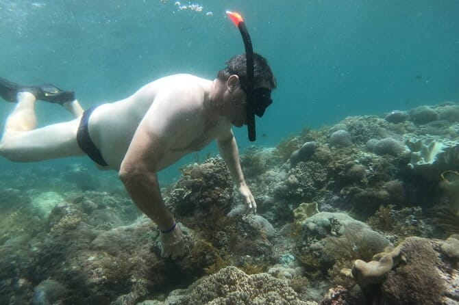 From Nusa Lembongan Manta Snorkeling Trips with Pickup Included - The Experience Guides and Reviews