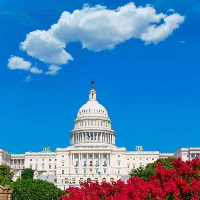 From NYC: Private Washington & Philadelphia Tour in 1 Day - The Experience on the Ground