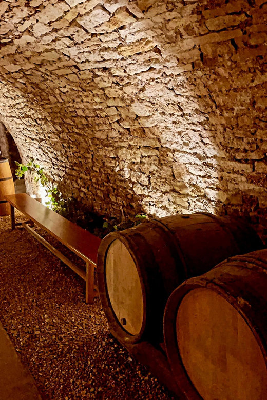 From Paris: Champagne, gastronomy and culture - FAQ