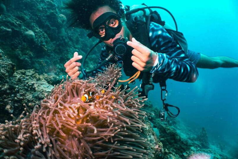From Phi Phi: Beginner Scuba Diving Day Trip with 2 Dives - What’s Included and What’s Not