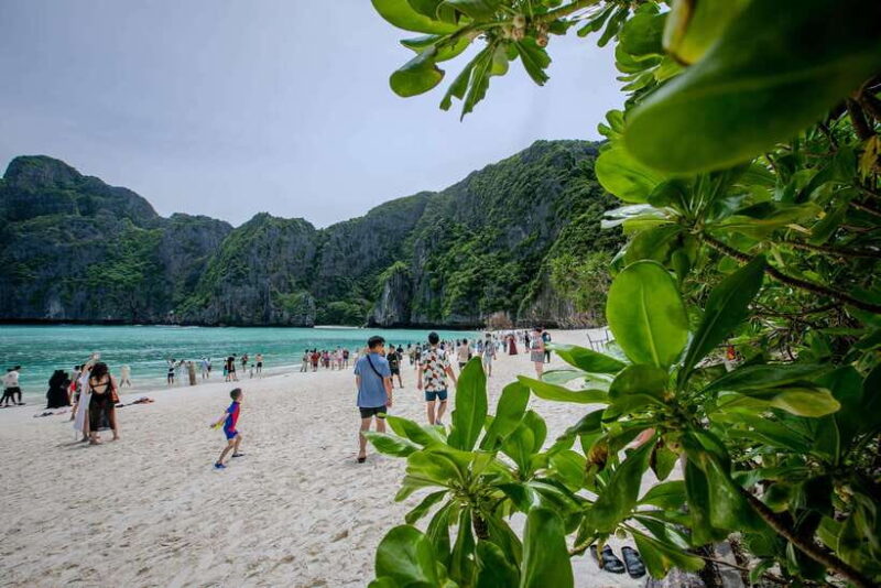 From Phi Phi: Island Tour to Maya Bay with Snorkeling - The Real Traveler Experience: Insights from Reviews
