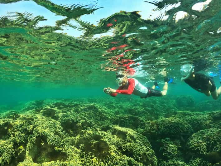From Phu Quoc: Discover 4 Islands by Speedboat Full Day Tour - Exploring the Itinerary in Detail
