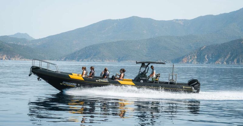 From Porto: Piana Creeks and Scandola Semi-Rigid Boat Tour - Final Thoughts