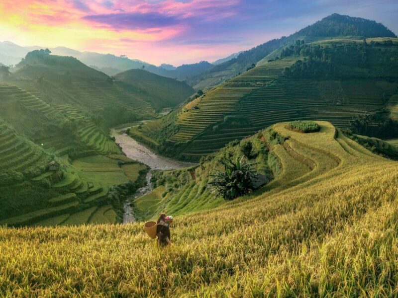 From Sapa Homestay Hideaway 2-Day Local Life Adventure - What We Love About the Tour