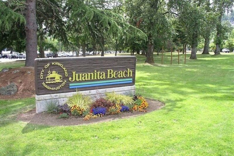 From Seattle: 5-hour Seattle and Suburbs Attractions Tour - Experience Quality and Comfort
