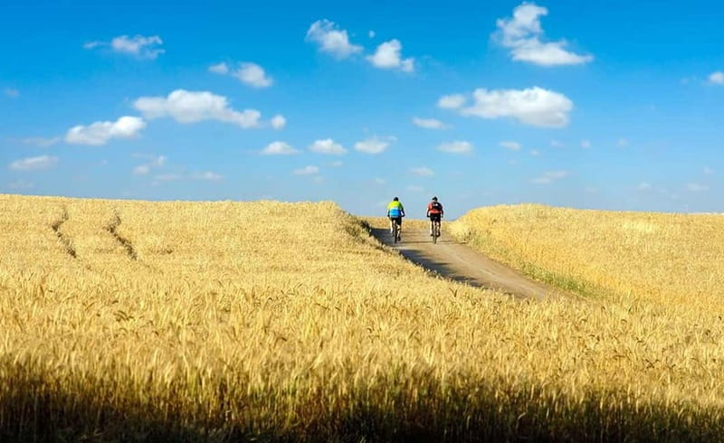 From Siena: Chianti Electric Bike Tour - Final Thoughts
