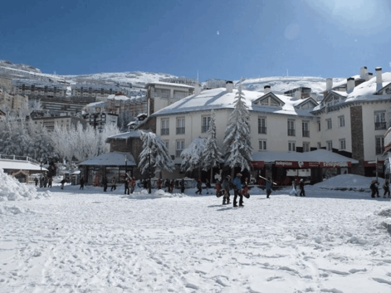 From Sierra Nevada ; Private transfer to Granada city - The Scenic and Ecological Highlights