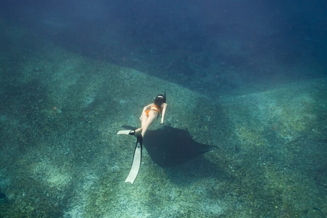 Full-Day Adventure Tour to komodo Island with join Speed Boat tur - The Practical Side: What’s Included and What to Expect