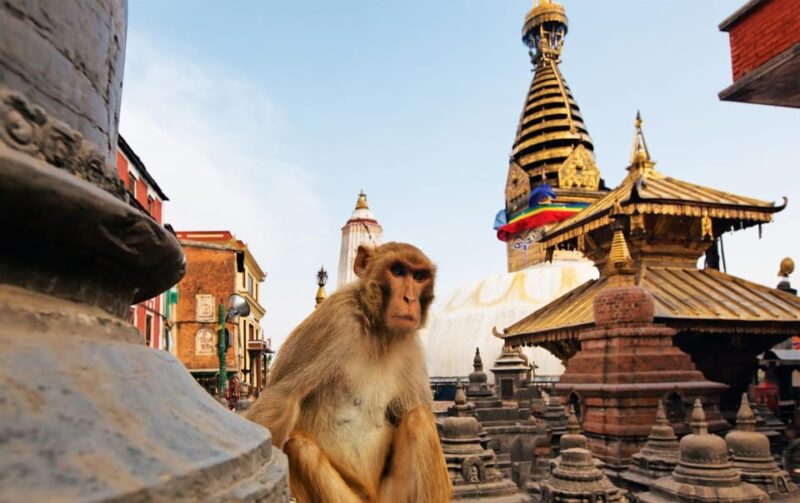 Full Day Car Hire With Driver in Pokhara - What’s Included and What to Expect