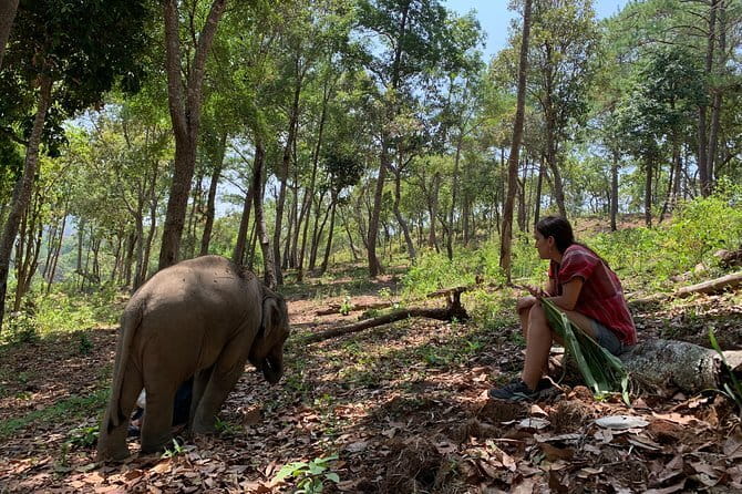 Full Day Doi Saket Hiking Tour - Who Should Consider This Tour?