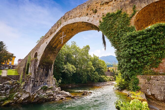 Full-Day Nature Tour: Picos de Europa National Park - The Value and Experience