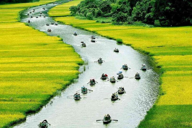 Full-day Ninh Binh: Hoa Lu, Tam Coc & Mua Cave - Itinerary Breakdown: What to Expect