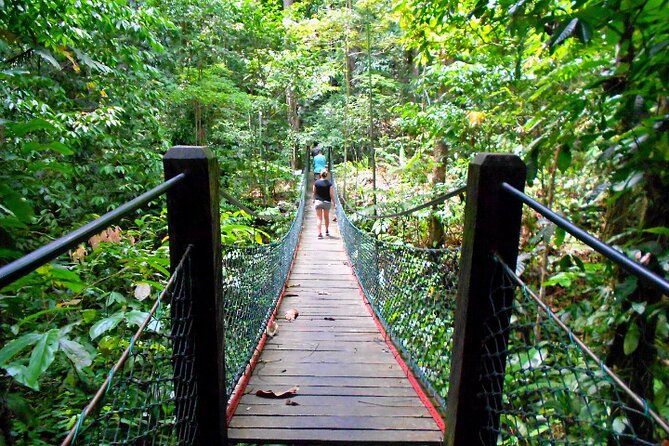 Full Day Orang Utan Sepilok, Proboscis Monkey, Sunbear, RDC - Who Should Consider This Tour?