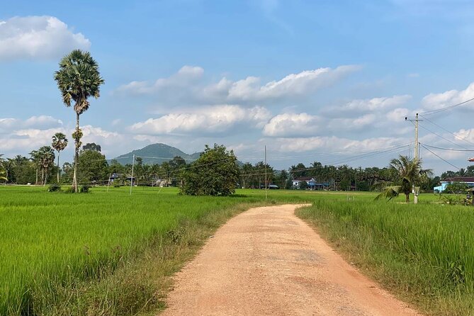 Full Day Pepper Farm Adventure by Scooter - Who Will Love This Tour?