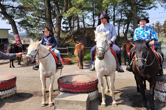 Full-Day Private Tour in Jeju Island - Pricing and Value