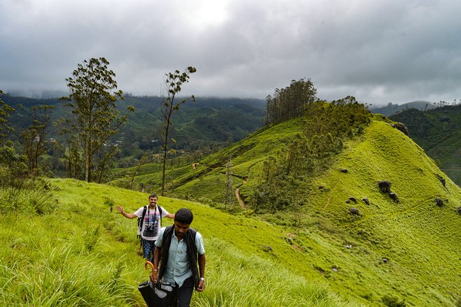 Full-Day Private Tour to Munnar from Kochi with Lunch - Final Thoughts: Who Is This Tour For?