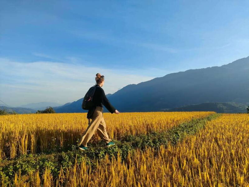 Full Day Private Trekking Mu Cang Chai - The Included and the Value