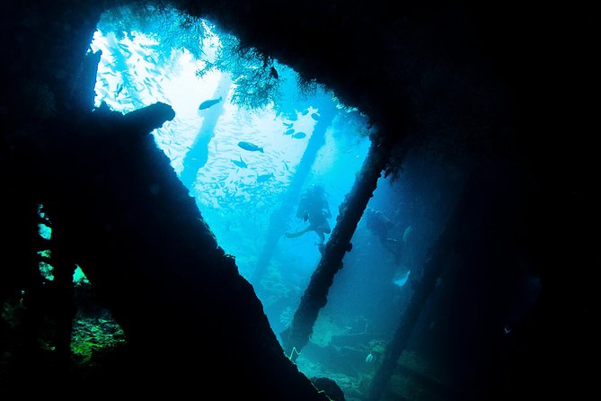 Fun Diving Tulamben Bali - For Certified Divers - Who Should Book This Tour?