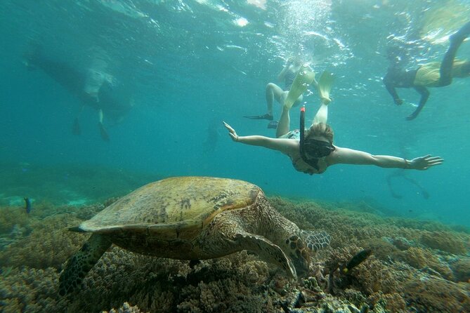 Gili Trawangan,Gili Meno& Gili Air Island:Snorkeling Day Trip Depart from Lombok - Transport and Logistics: Setting Expectations