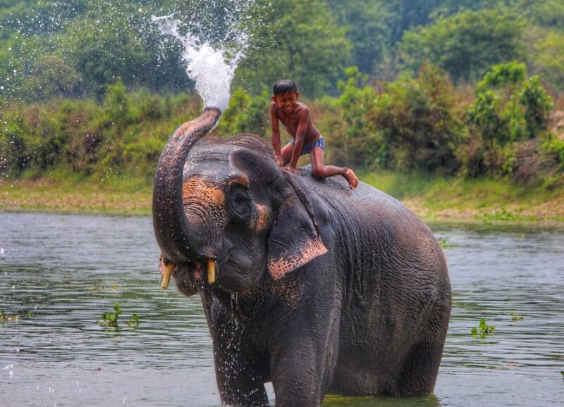 Golden Triangle Tour - FAQs
