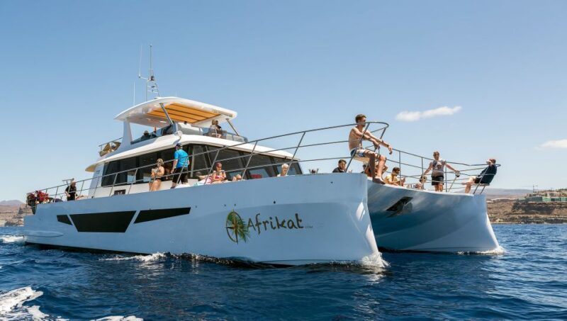 Gran Canaria: Fun Catamaran Cruise with Food and Drinks - The Itinerary in Detail