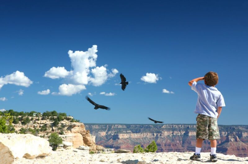 Grand Canyon: Morning Off-Road Safari with Skip the Gate - Who Will Appreciate This Tour?