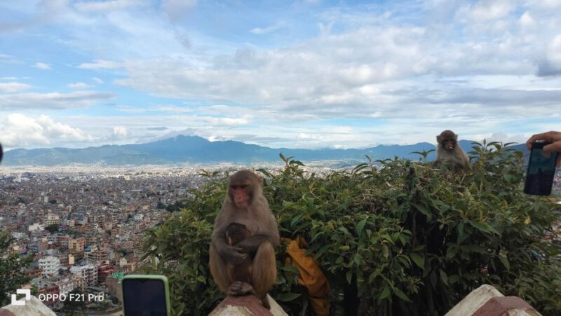 Guided Kathmandu Heritage Full-Day Tour - The Sum Up