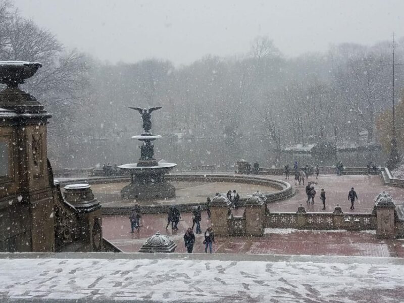 Guided Pedicab Tour in Central Park - The Highlights and Hidden Gems