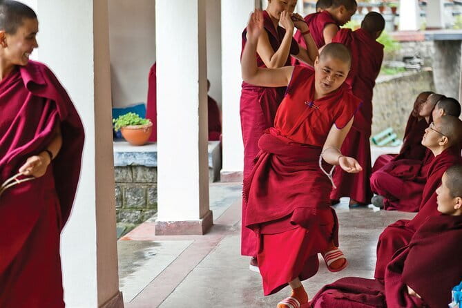 Guided Tibetan Culture Walk at Norbulingka,Gyuto and Nunnery - What Do Travelers Say?